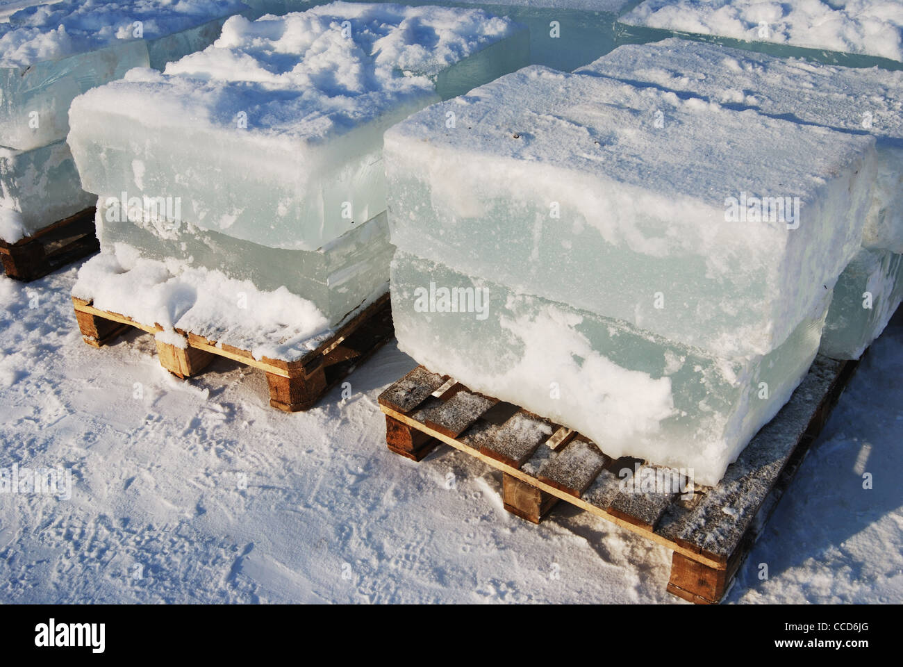 big translucent ice blocs in the sunshine: preparations for the ice ...