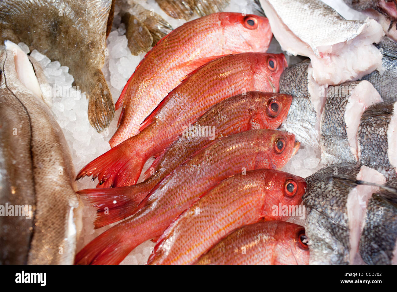 Fishmongers stall in a local food market Stock Photo - Alamy
