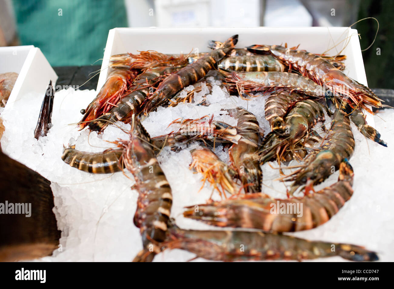Fishmongers stall in a local food market Stock Photo - Alamy