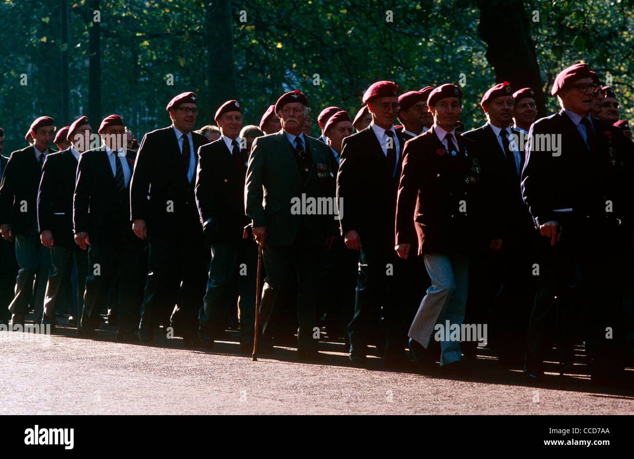 Paras Stock Photos & Paras Stock Images - Alamy