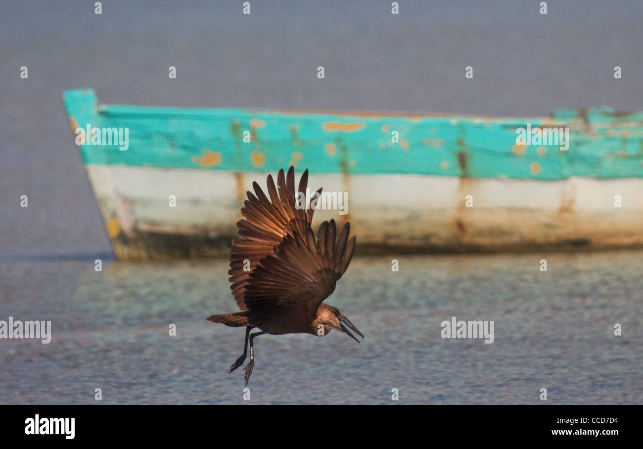 Brightly coloured boat hi-res stock photography and images - Alamy