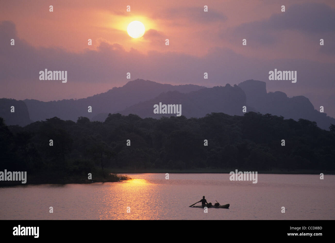 Dambulla lake at sunset, Sri Lanka Stock Photo - Alamy