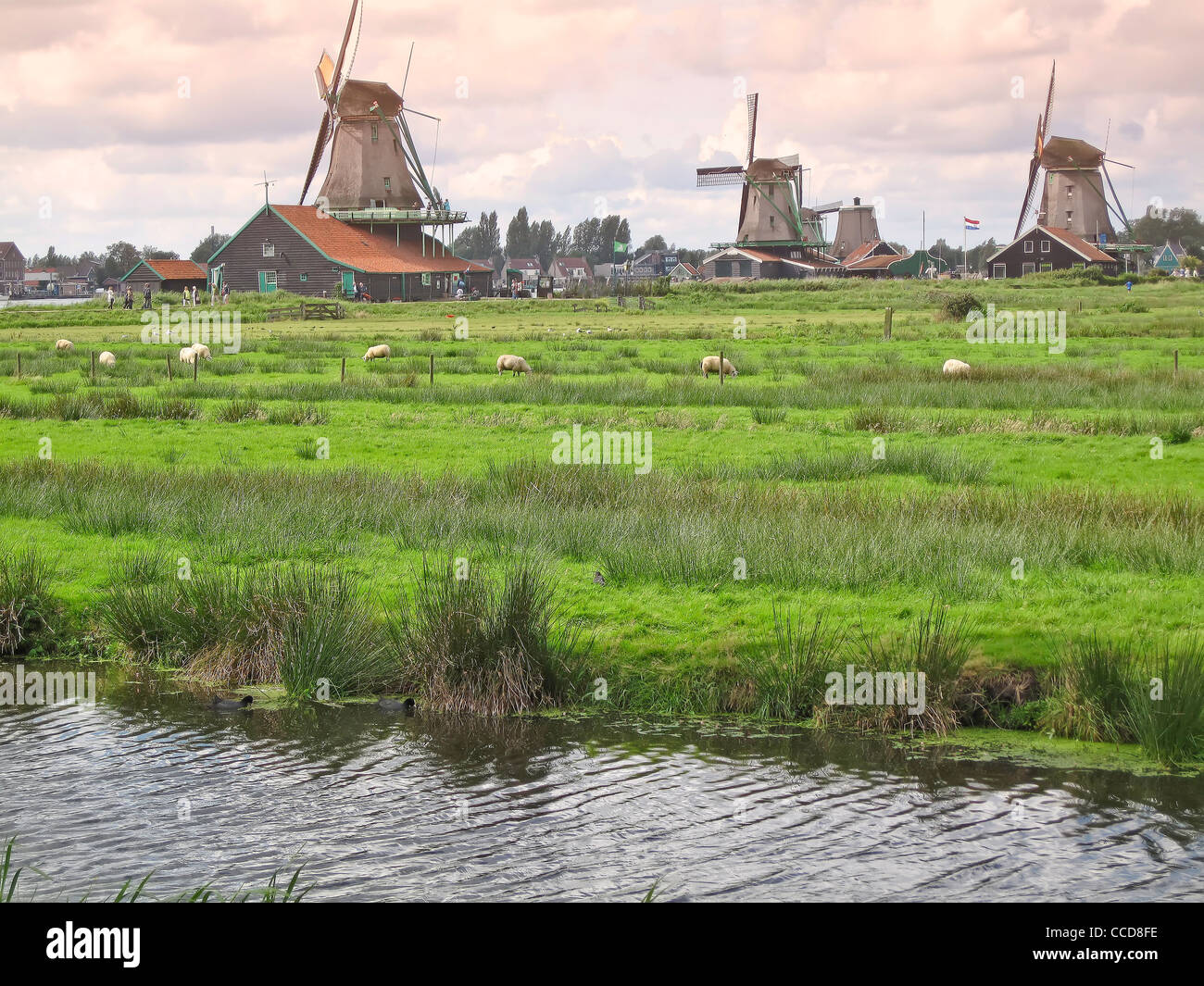Windmill; Wooden Clogs;Zaanse Schans Stock Photo - Alamy