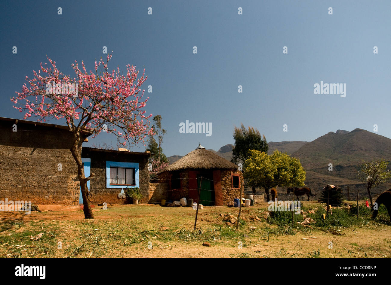 houses,dwelling places,malealea village,lesotho,africa Stock Photo - Alamy