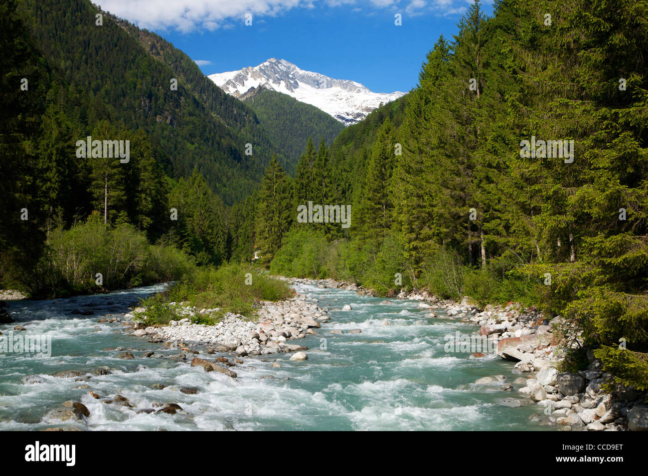 Sarca river at Genova valley with view on Lobbie glacier, Natural Park ...