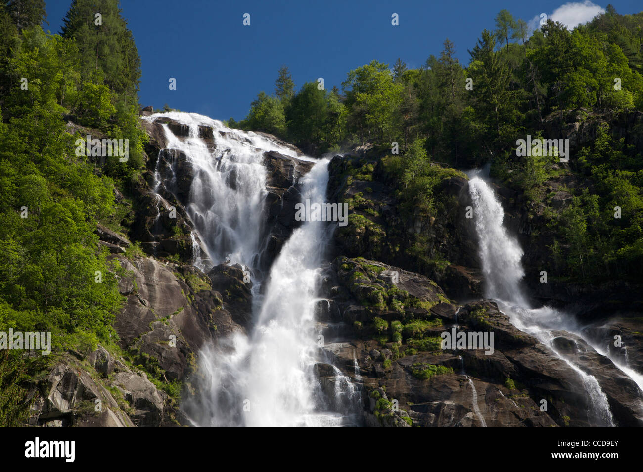 Nardis waterfall at Genova valley, Natural Park Adamello Brenta ...