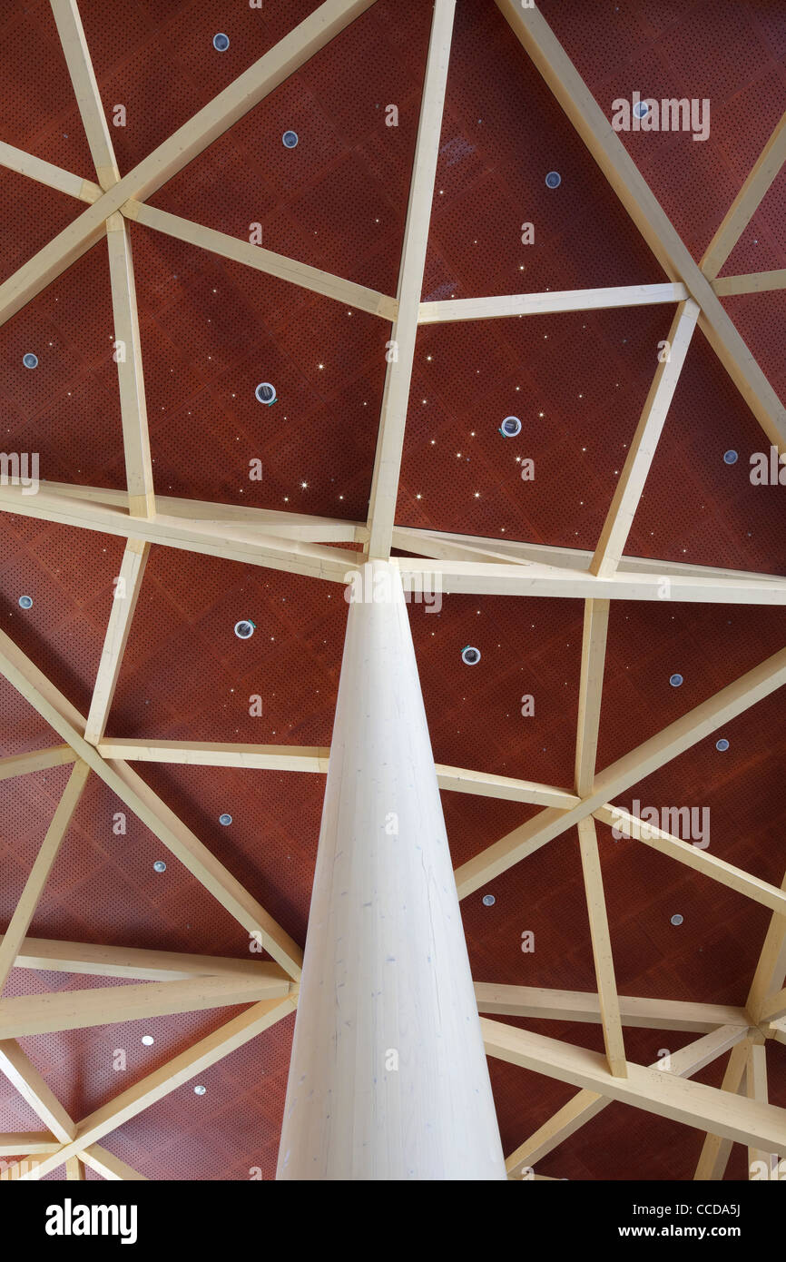 The Sibelius Hall Complex Is The Largest Public Wooden Building Built ...