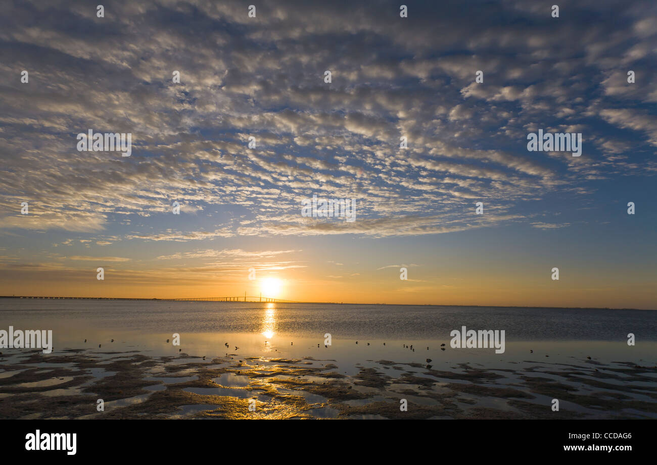 Bob graham sunshine skyway bridge hi-res stock photography and images ...