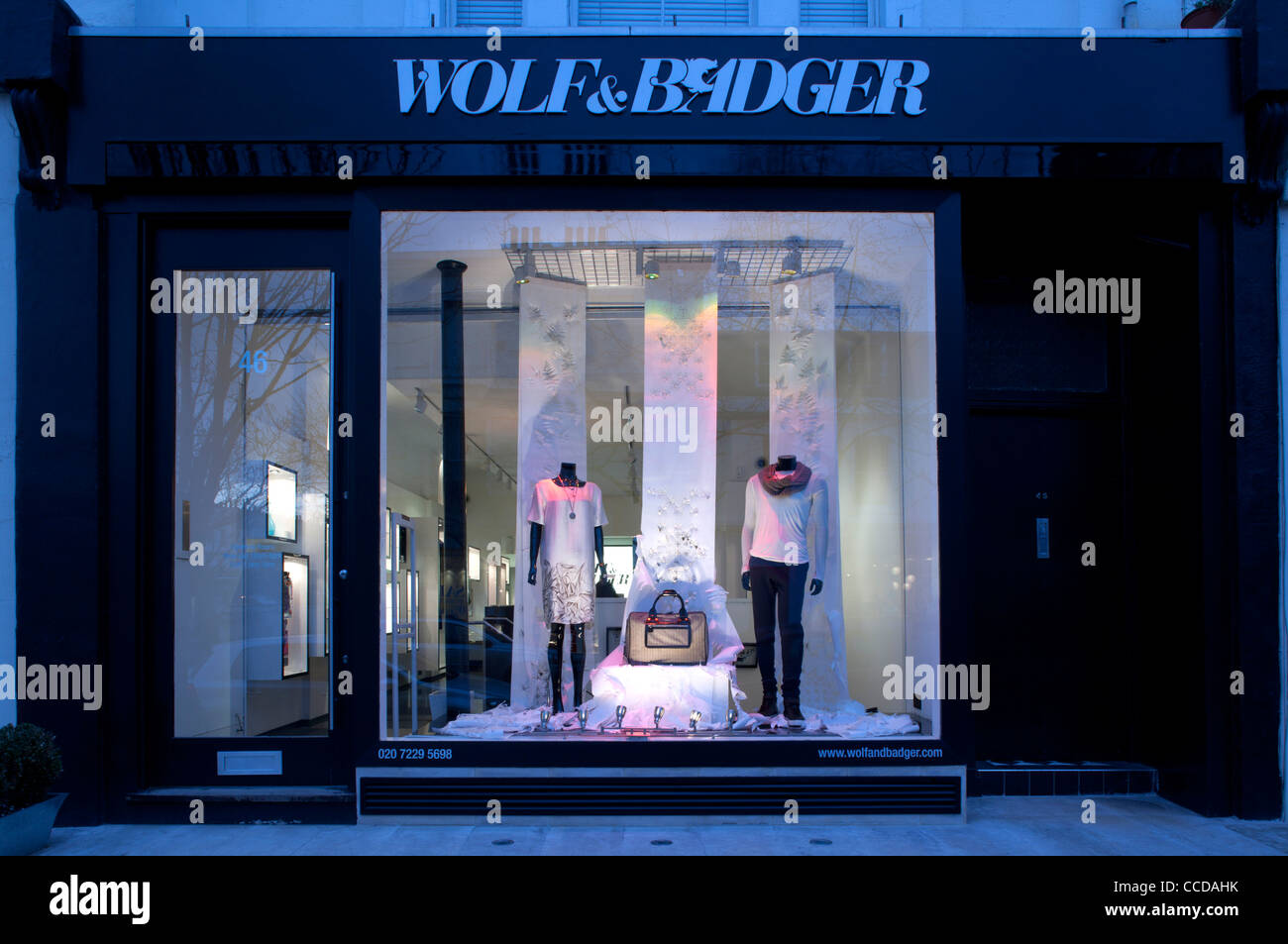 Wolf and badger hi-res stock photography and images - Alamy