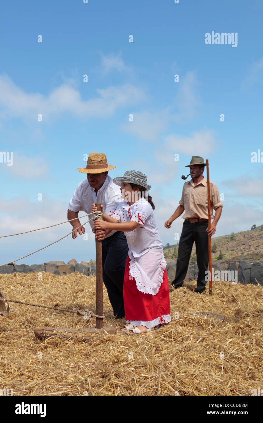 Young girl rides on the threshing board at Chirche Tenerife Canary ...