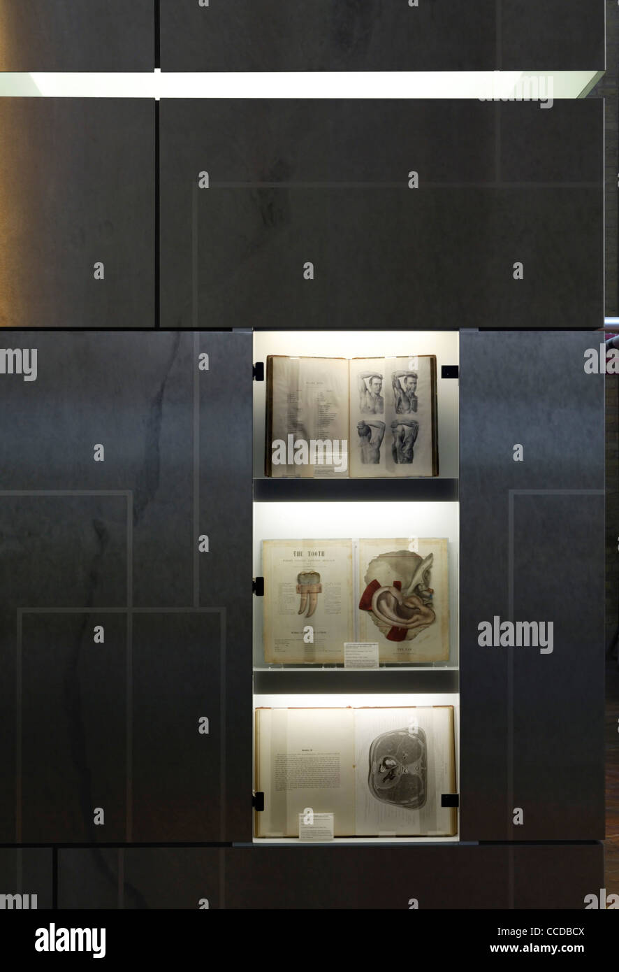 AMBIGUOUS OBJECT DETAIL, ELEVATION Stock Photo - Alamy