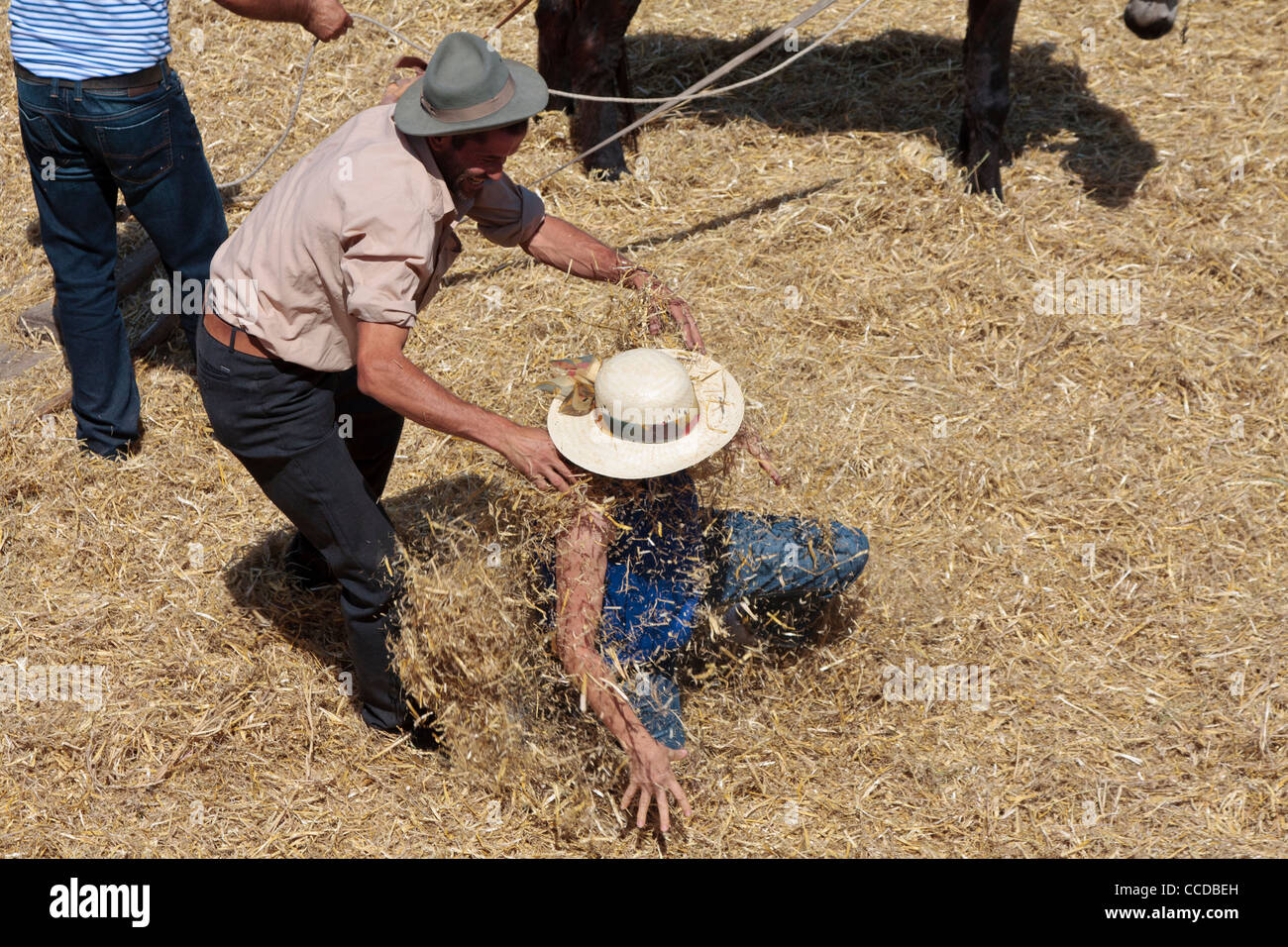 fooling around whilst threshing corn in Chirche Tenerife Stock Photo ...
