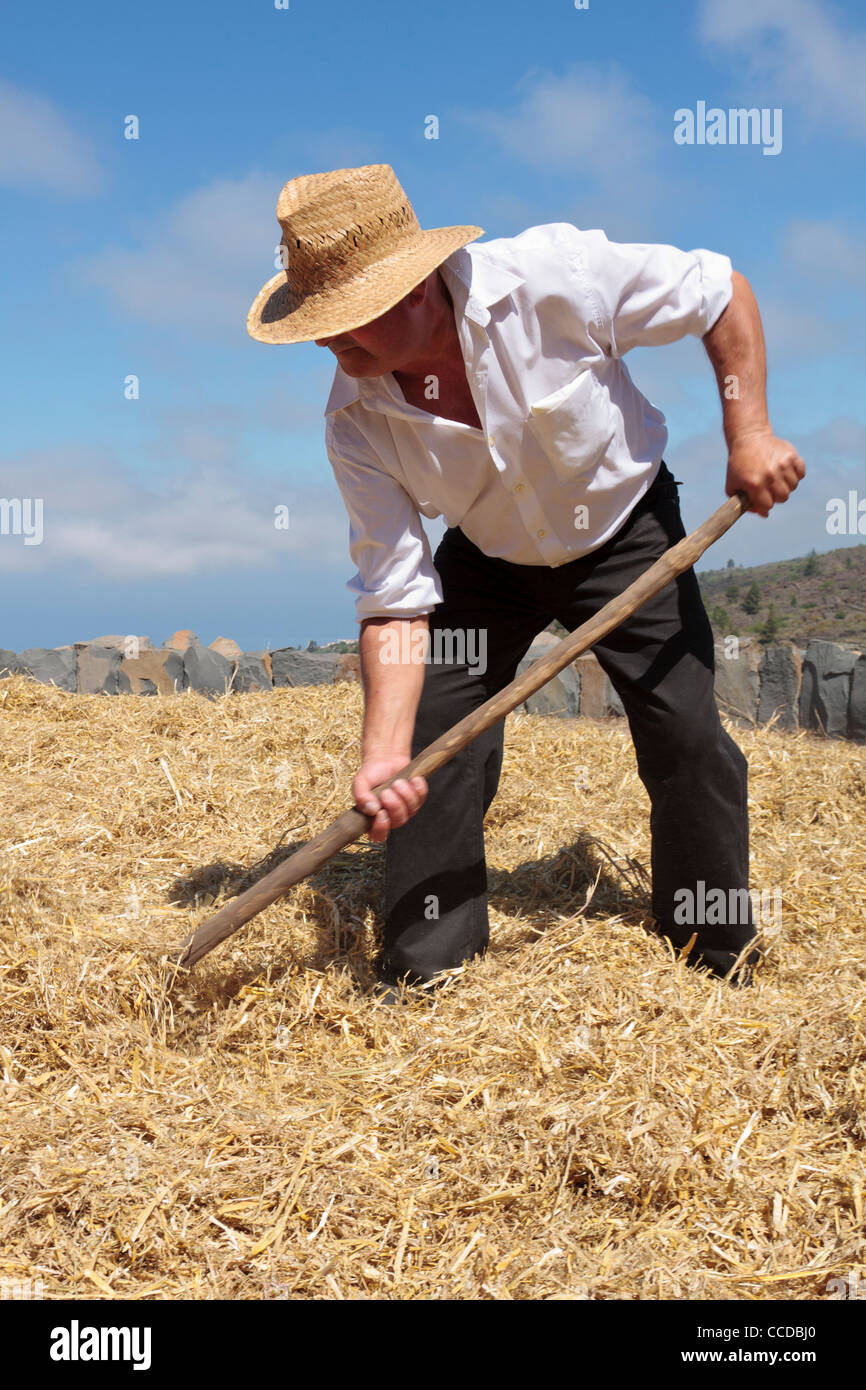 Threshing corn hi-res stock photography and images - Alamy