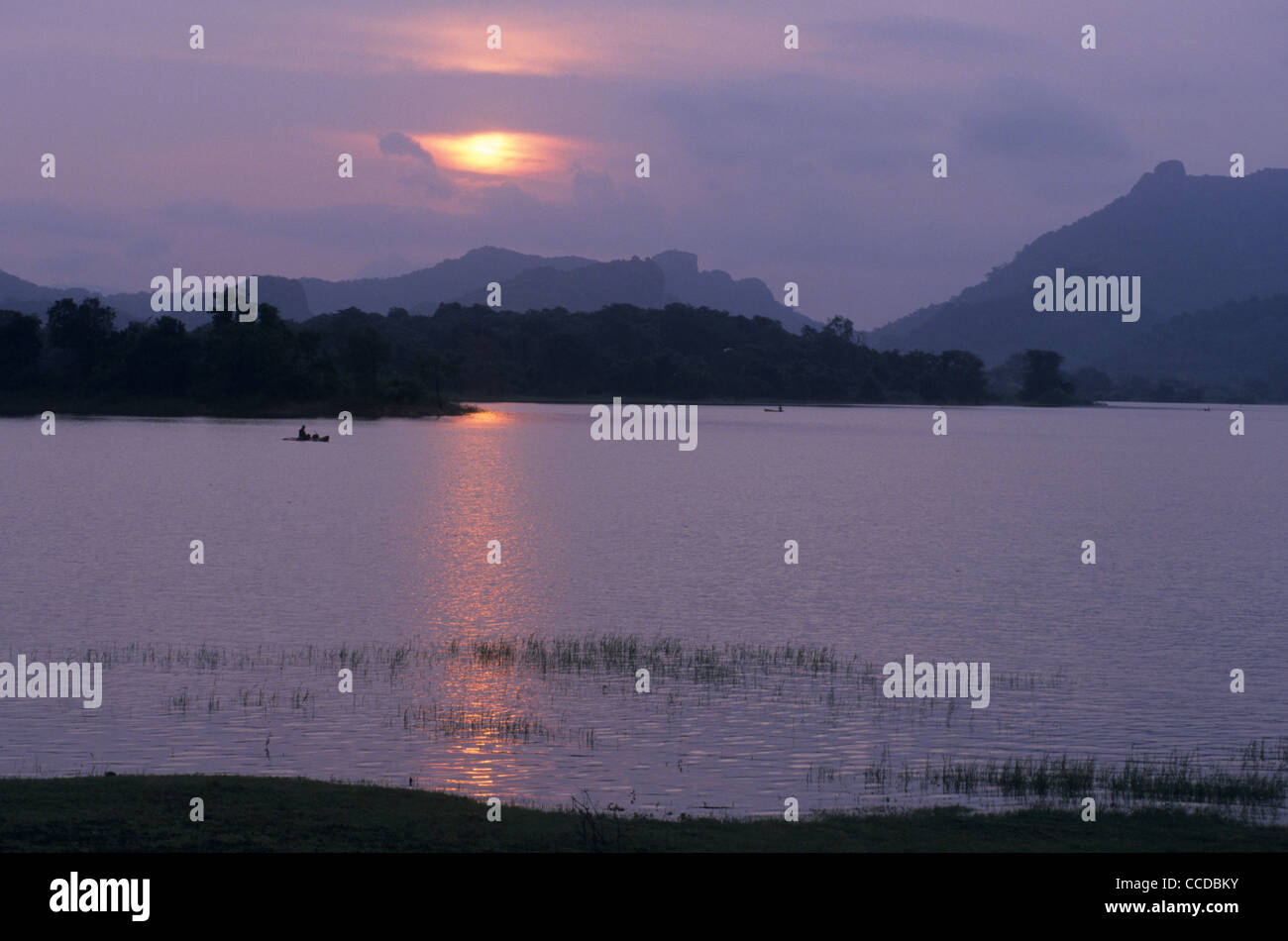 Dambulla lake at sunset, Sri Lanka Stock Photo - Alamy