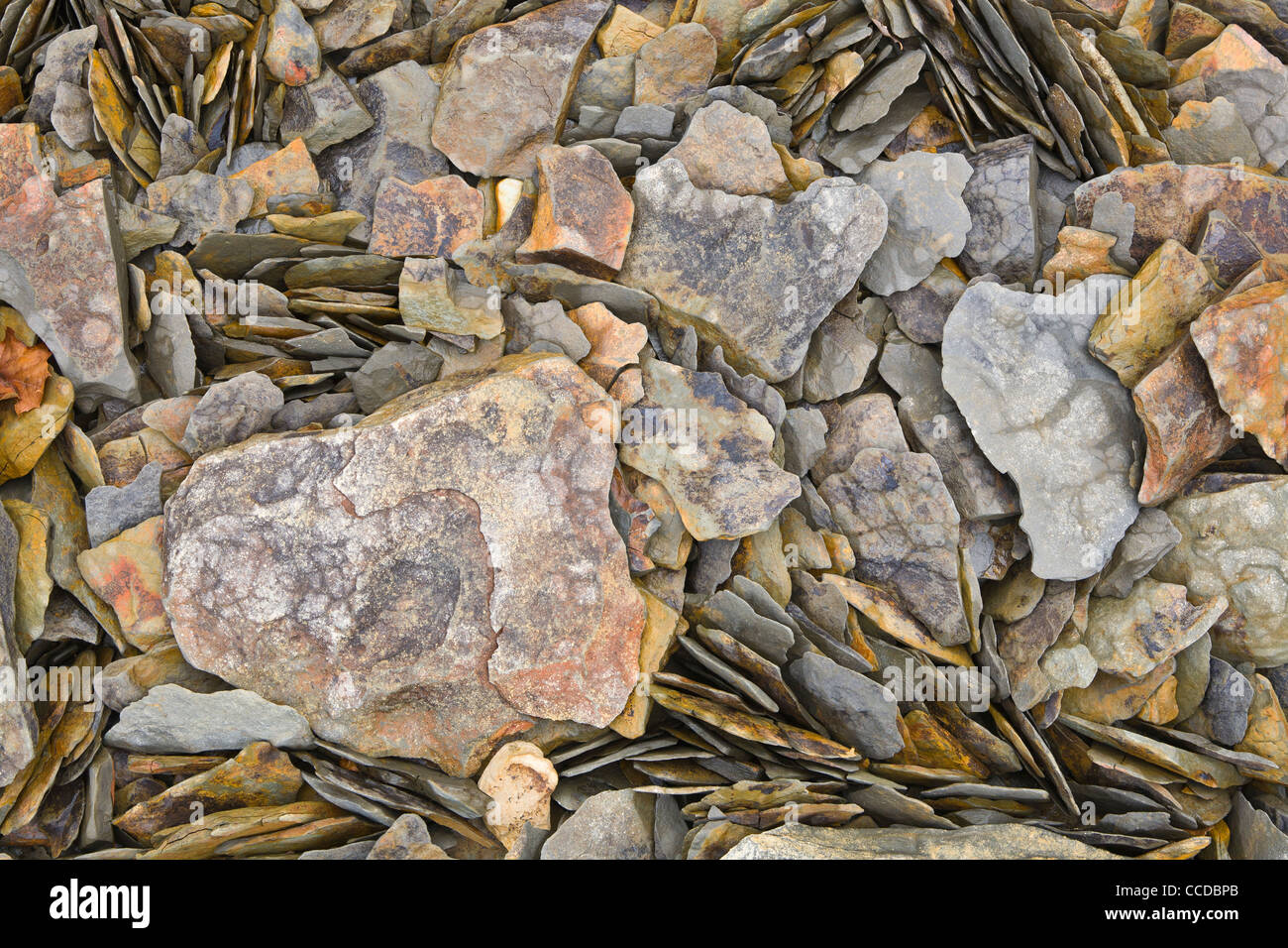 Dale hollow lake hi-res stock photography and images - Alamy