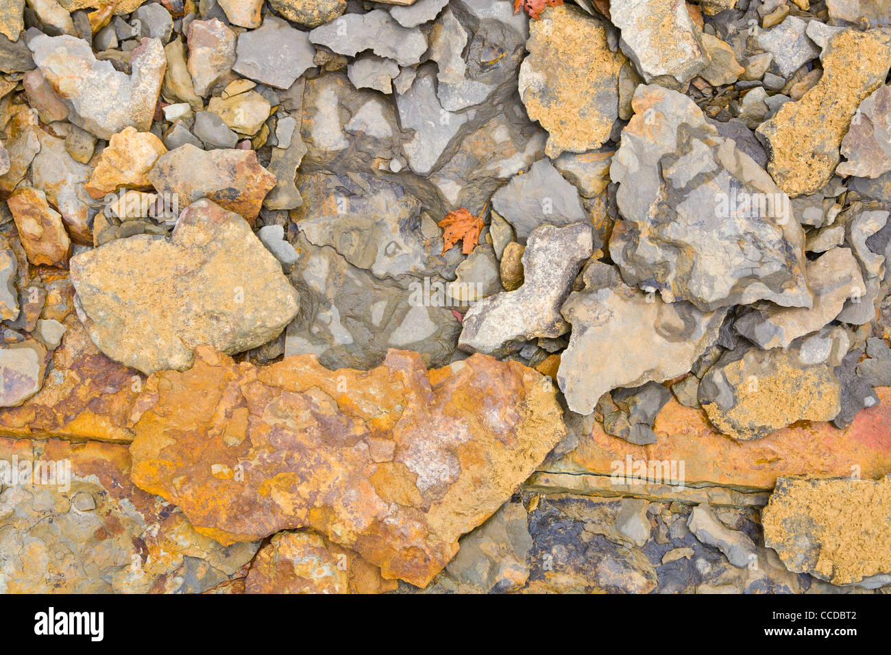 Dale hollow lake hi-res stock photography and images - Alamy