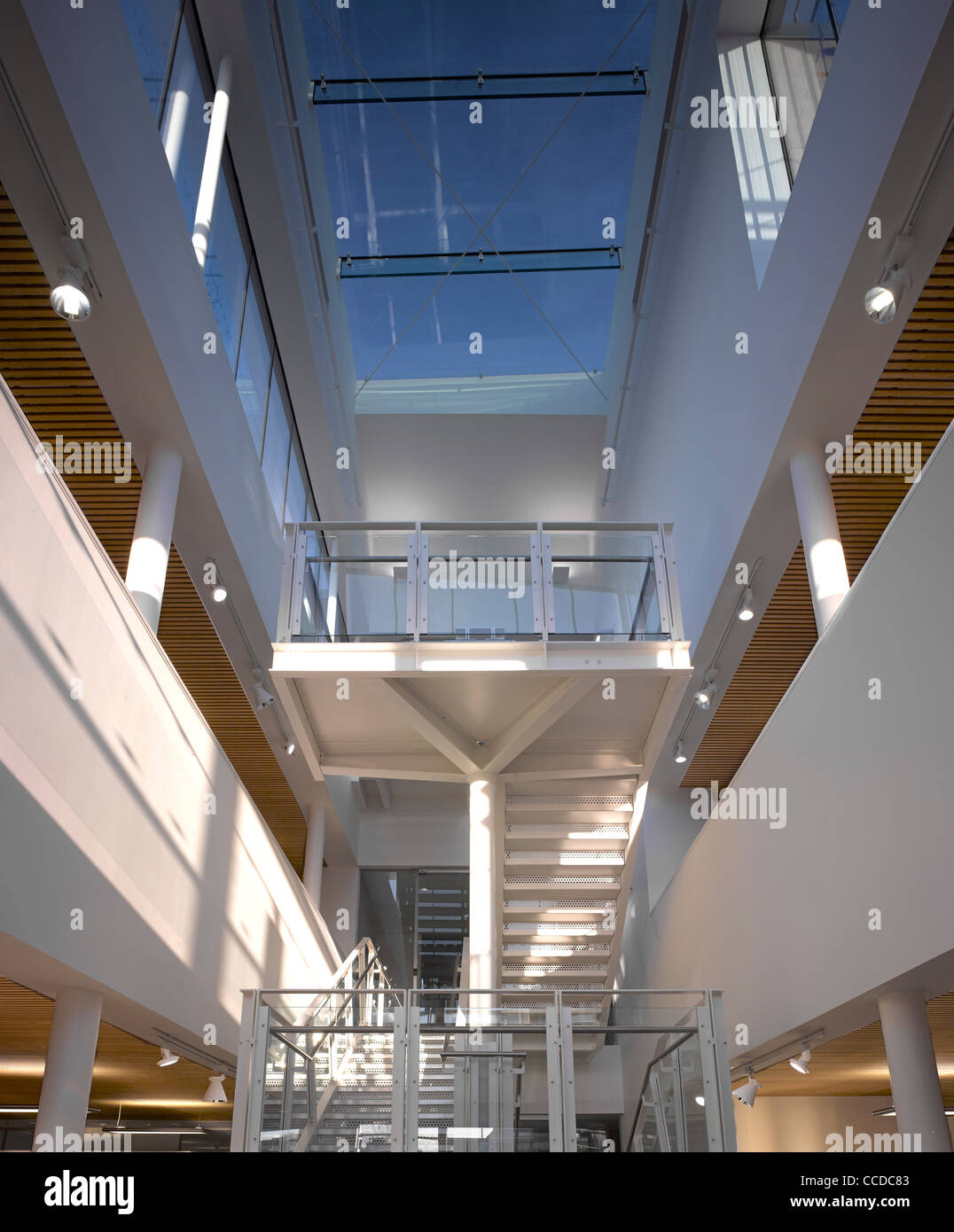 Cicely Saunders Institute, London, United Kingdom, 2010 Stock Photo - Alamy