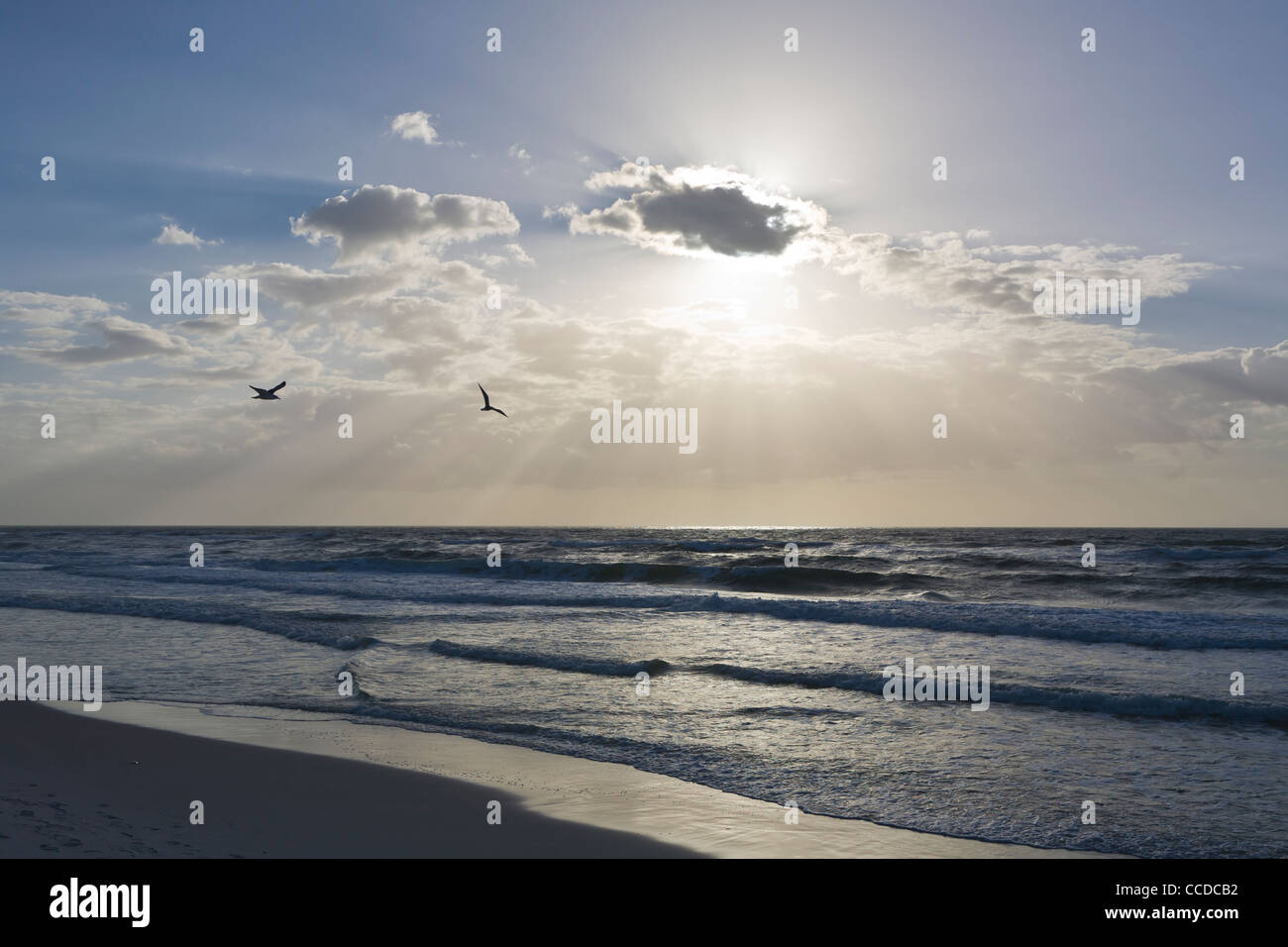 God rays over Gulf of Mexico on the Alabama coast Stock Photo - Alamy