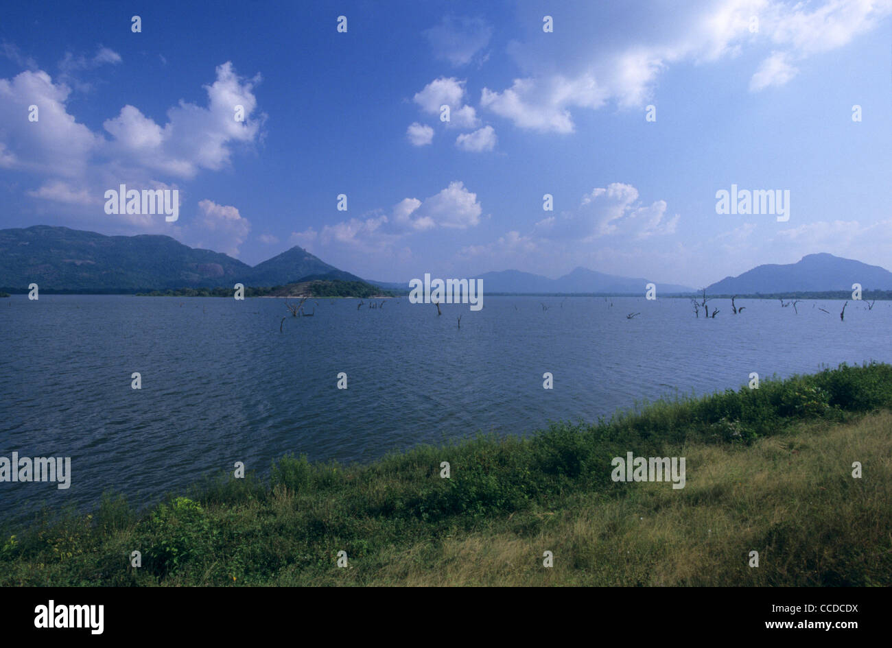 Dambulla lake, Sri Lanka Stock Photo - Alamy