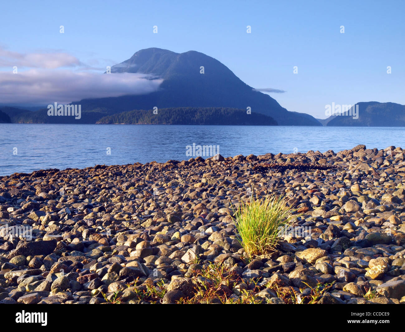 Early morning mists Toba Inlet, British Columbia, Canada Stock Photo ...