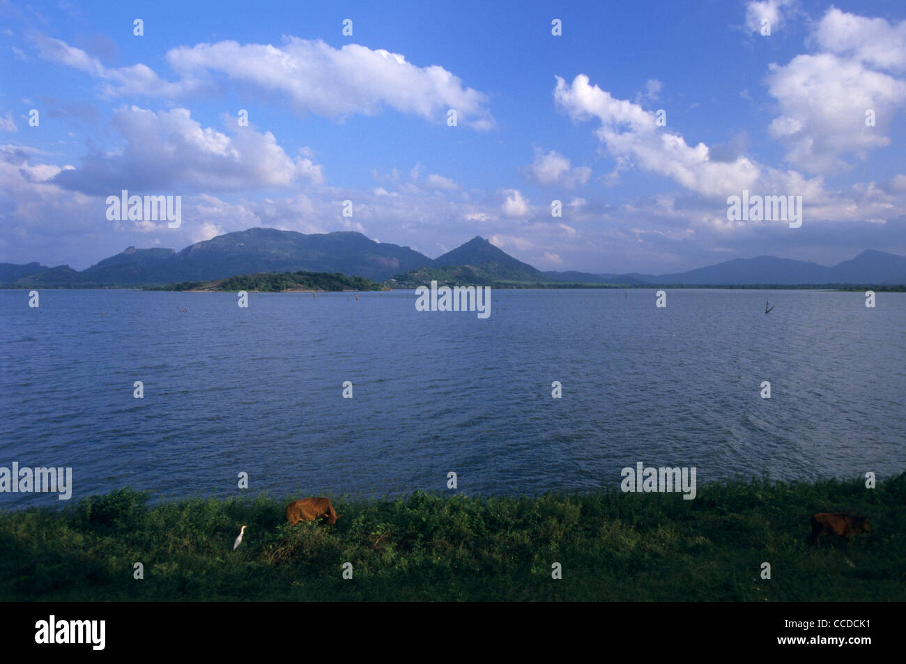 Dambulla lake, Sri Lanka Stock Photo - Alamy