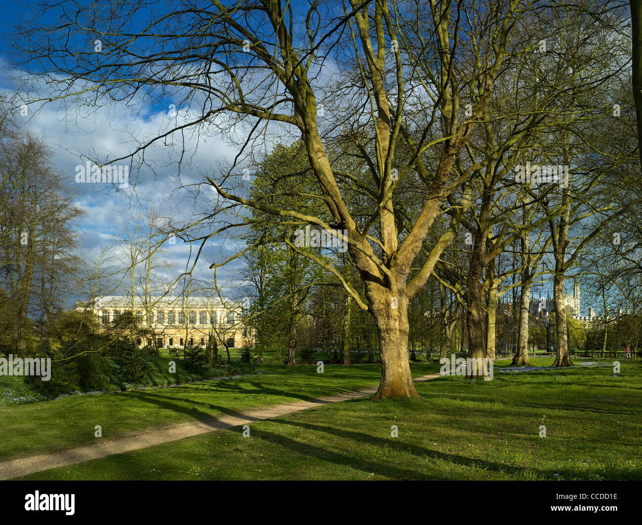 CAMBRIDGE BUILDINGS, CAMBRIDGE, UNITED KINGDOM, 2010 Stock Photo - Alamy