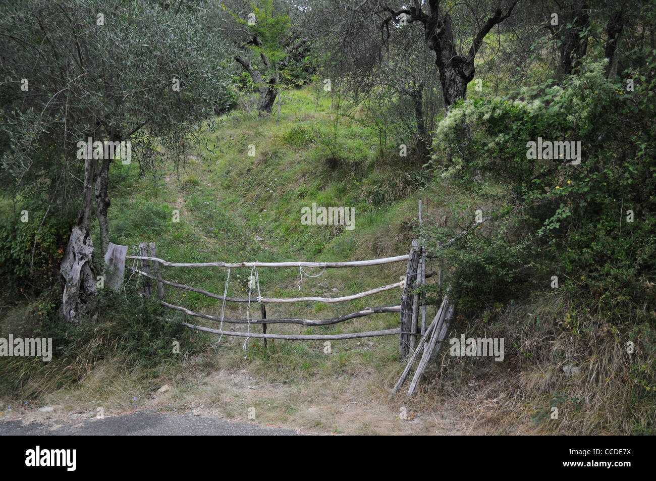 wooden gate, path into hills, hillside, high, Tuscany Stock Photo - Alamy