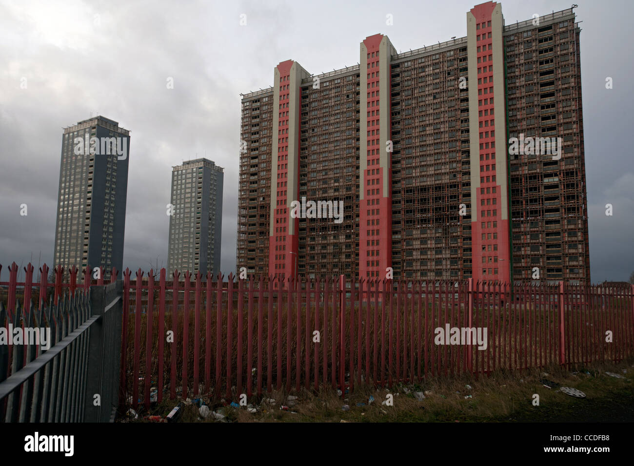 red road flats glasgow Stock Photo - Alamy