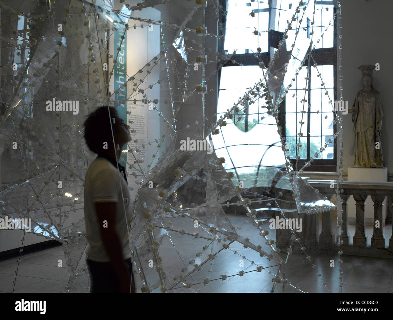 Inside/Outside Tree V&A Museum, London, United Kingdom, 2010 Stock ...