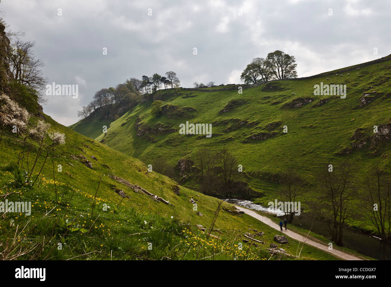 Walkers beside the River Dove in Wolfscote Dale, Peak District National ...