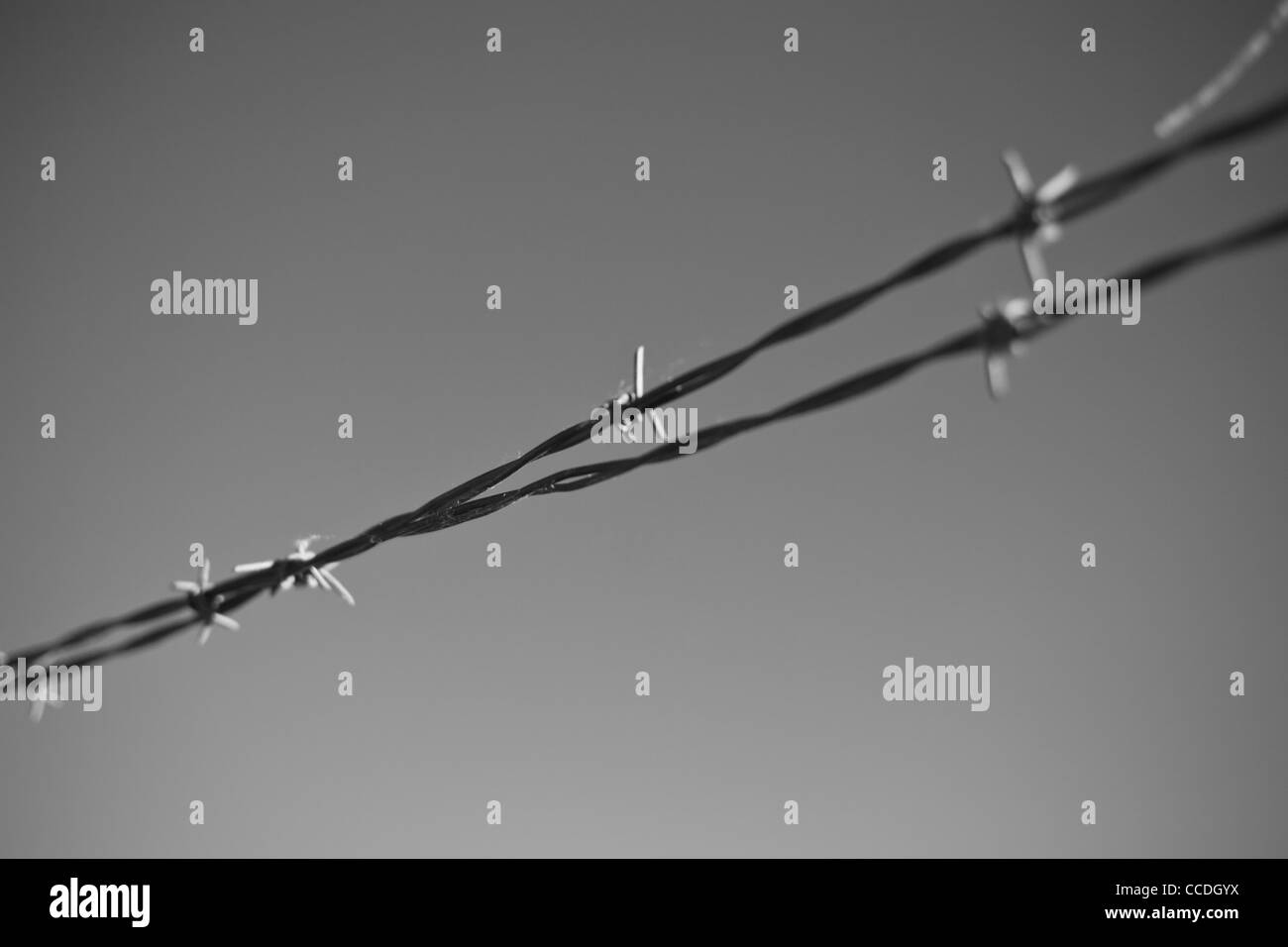 Two Strands High Resolution Stock Photography and Images - Alamy