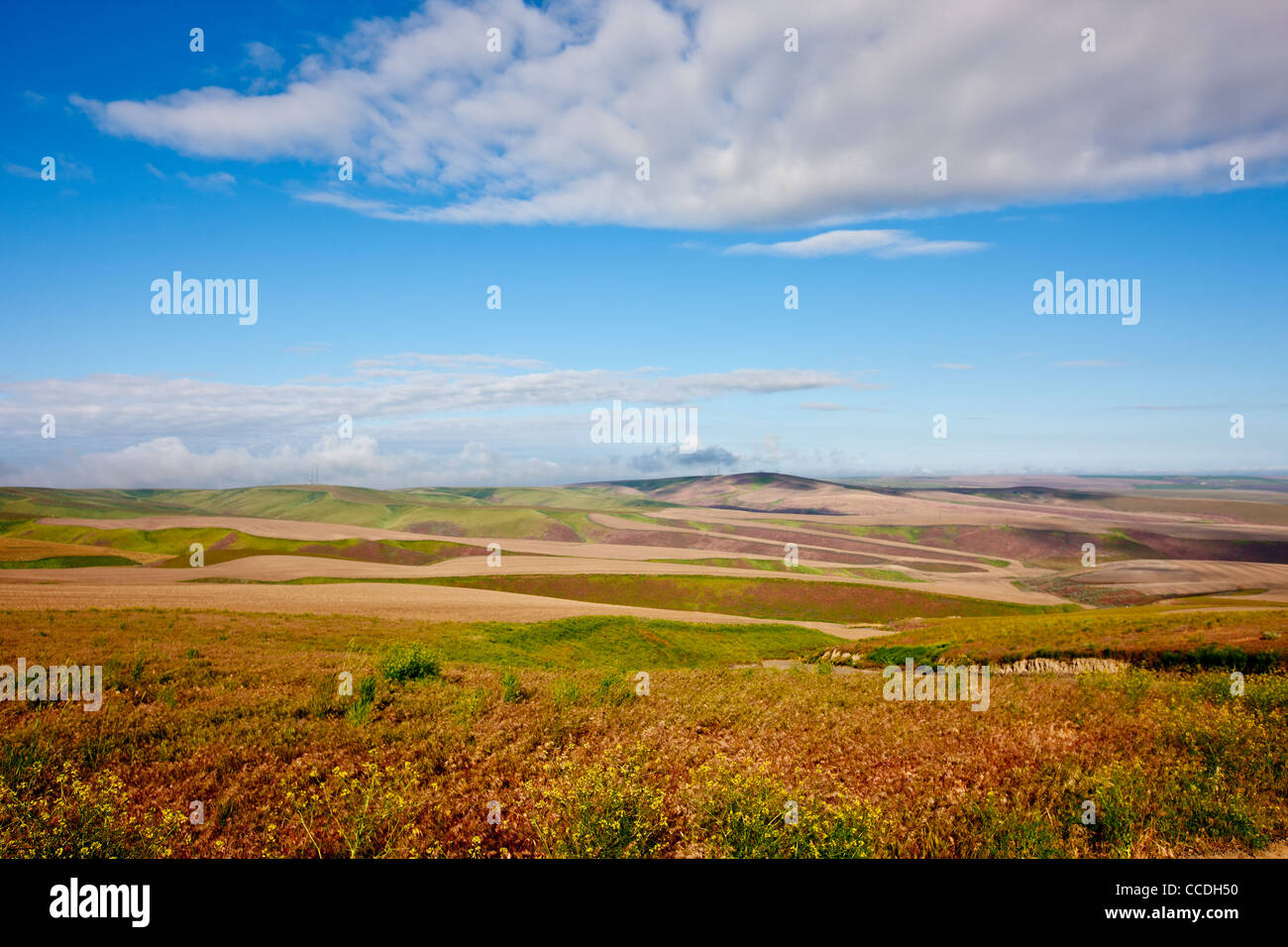 Mid Columbia Plains High Resolution Stock Photography and Images - Alamy
