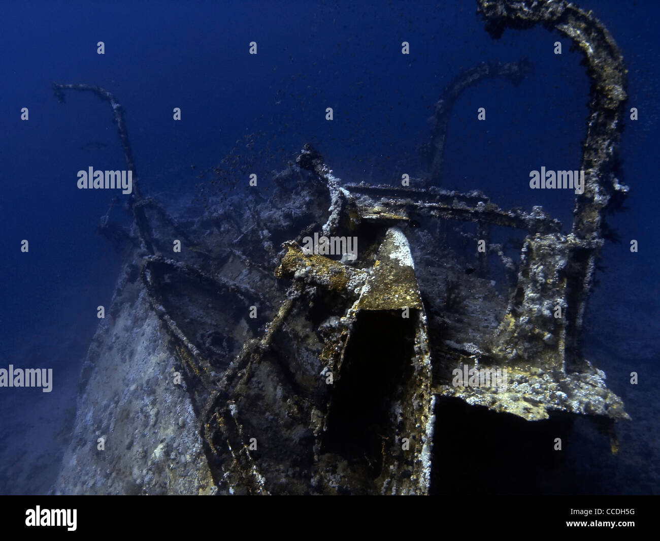 wreck in the red sea Stock Photo - Alamy