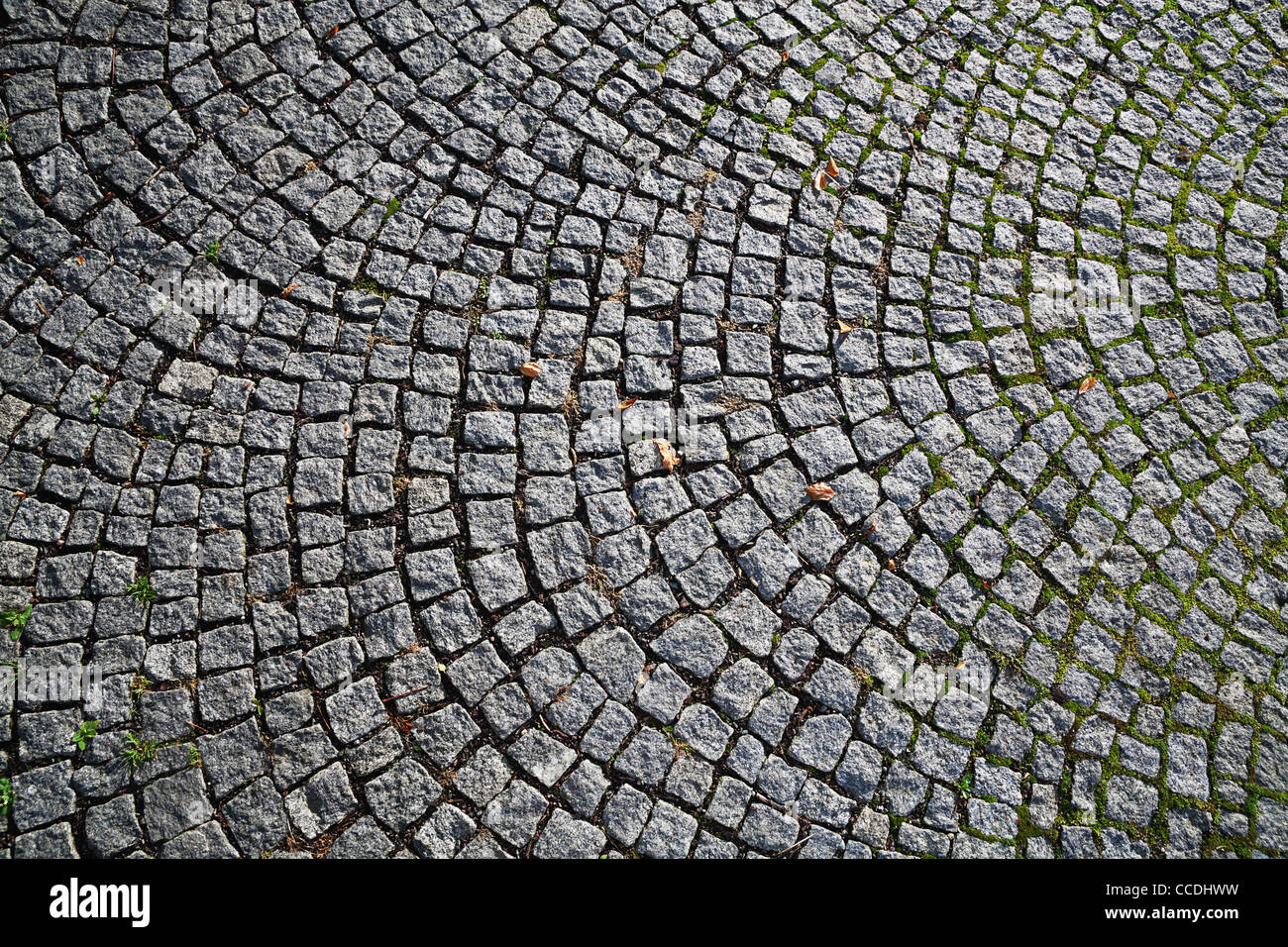 Side view on textured background hi-res stock photography and images ...