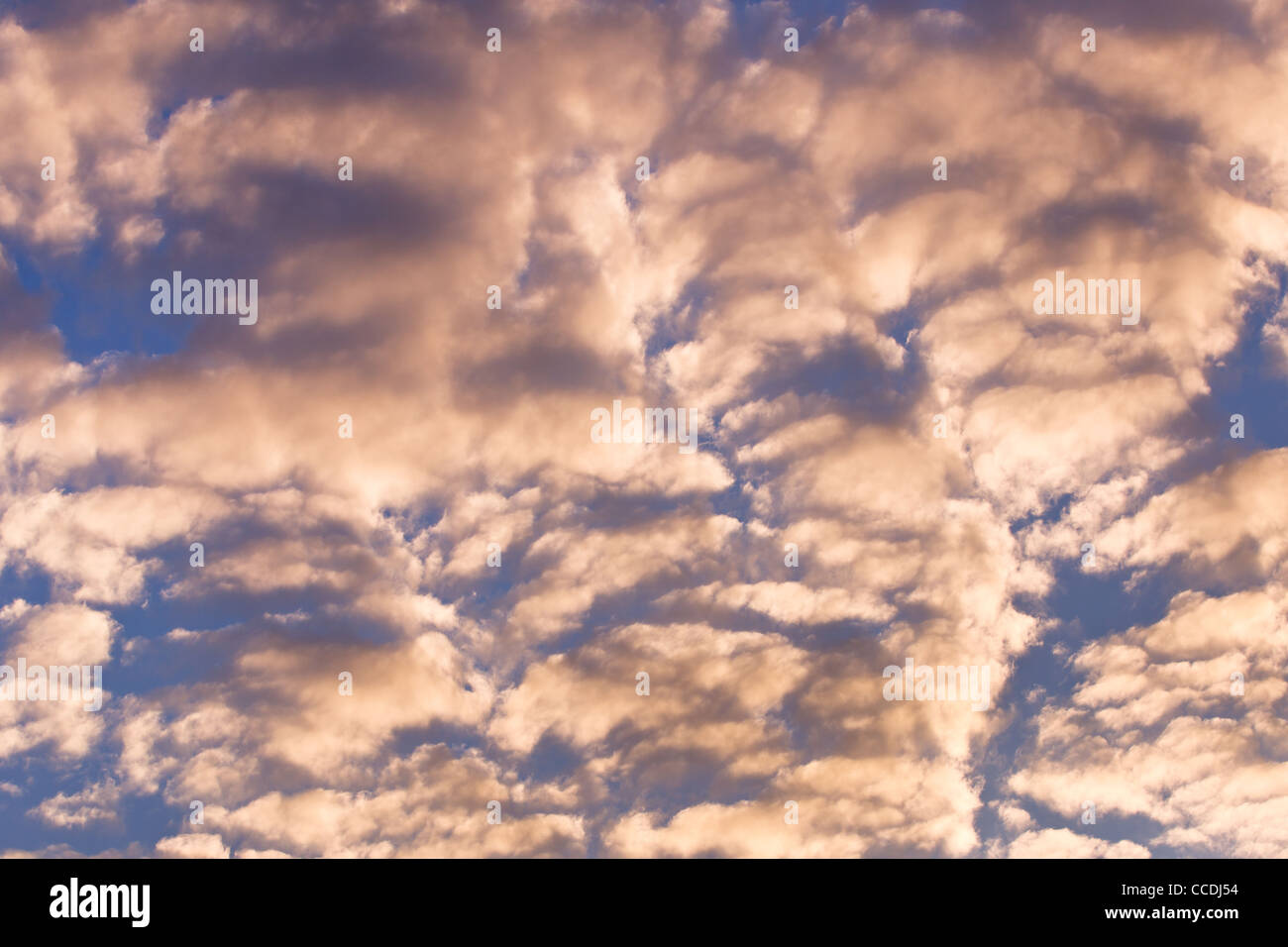 Beautiful clear golden sunset hi-res stock photography and images - Alamy