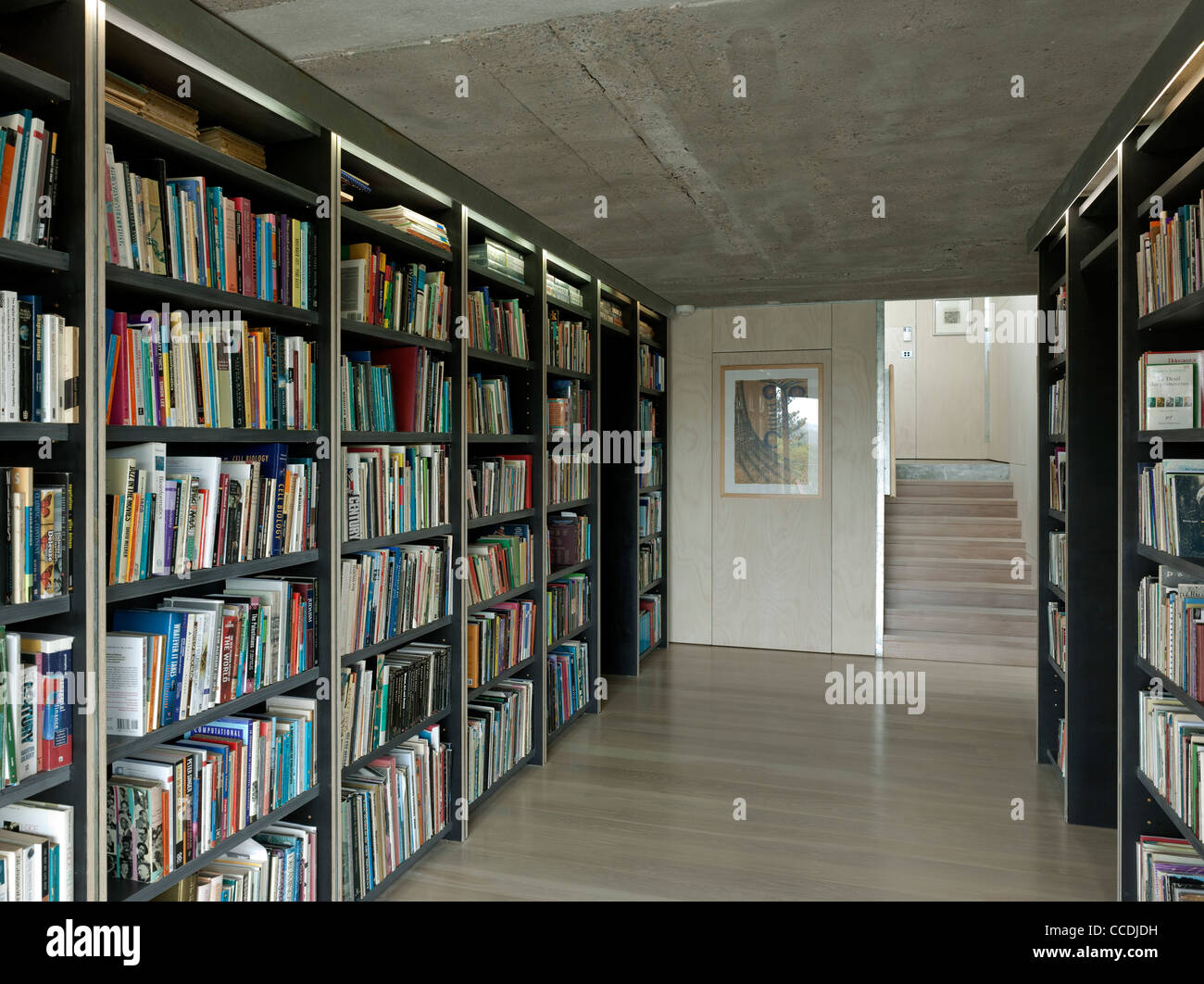 Nicholson House, Mac-Interactive Architects, Sydney, 2009, library ...