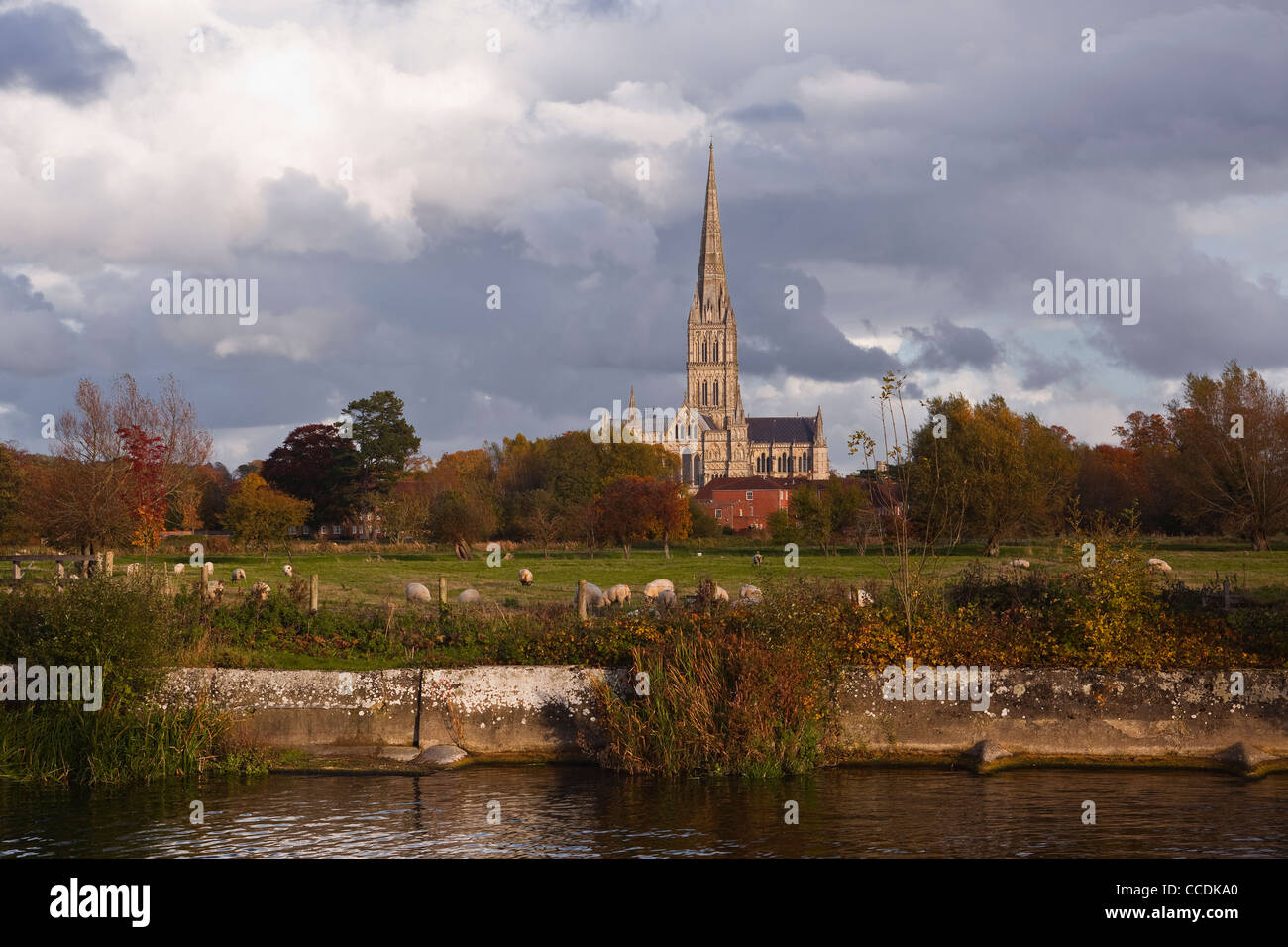 Looking across the river Nadder near to the Old Mill in Harnham ...