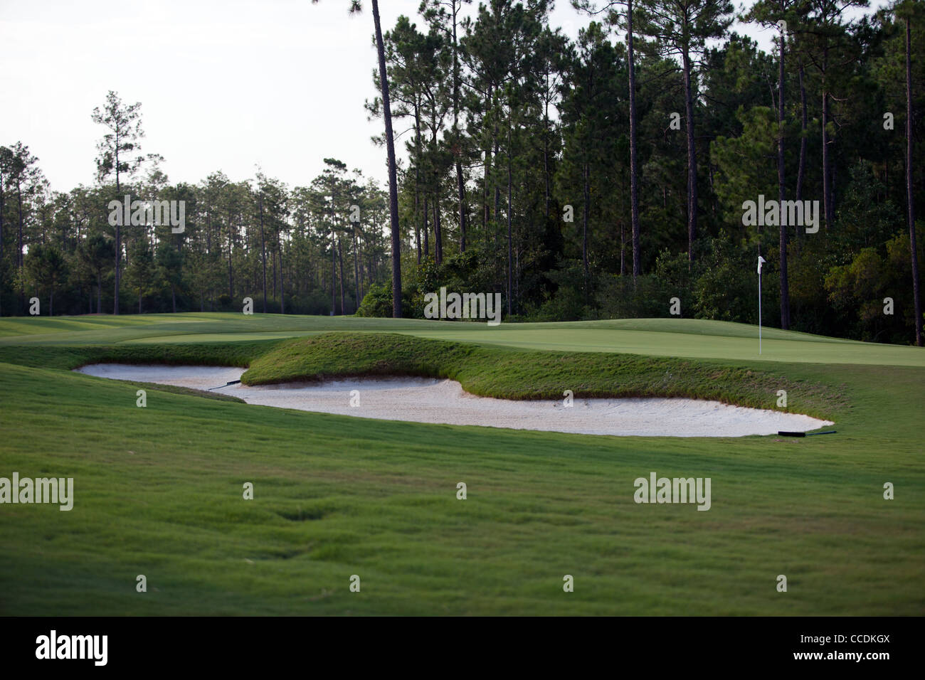 A sand trap borders the green at a golf course Stock Photo - Alamy