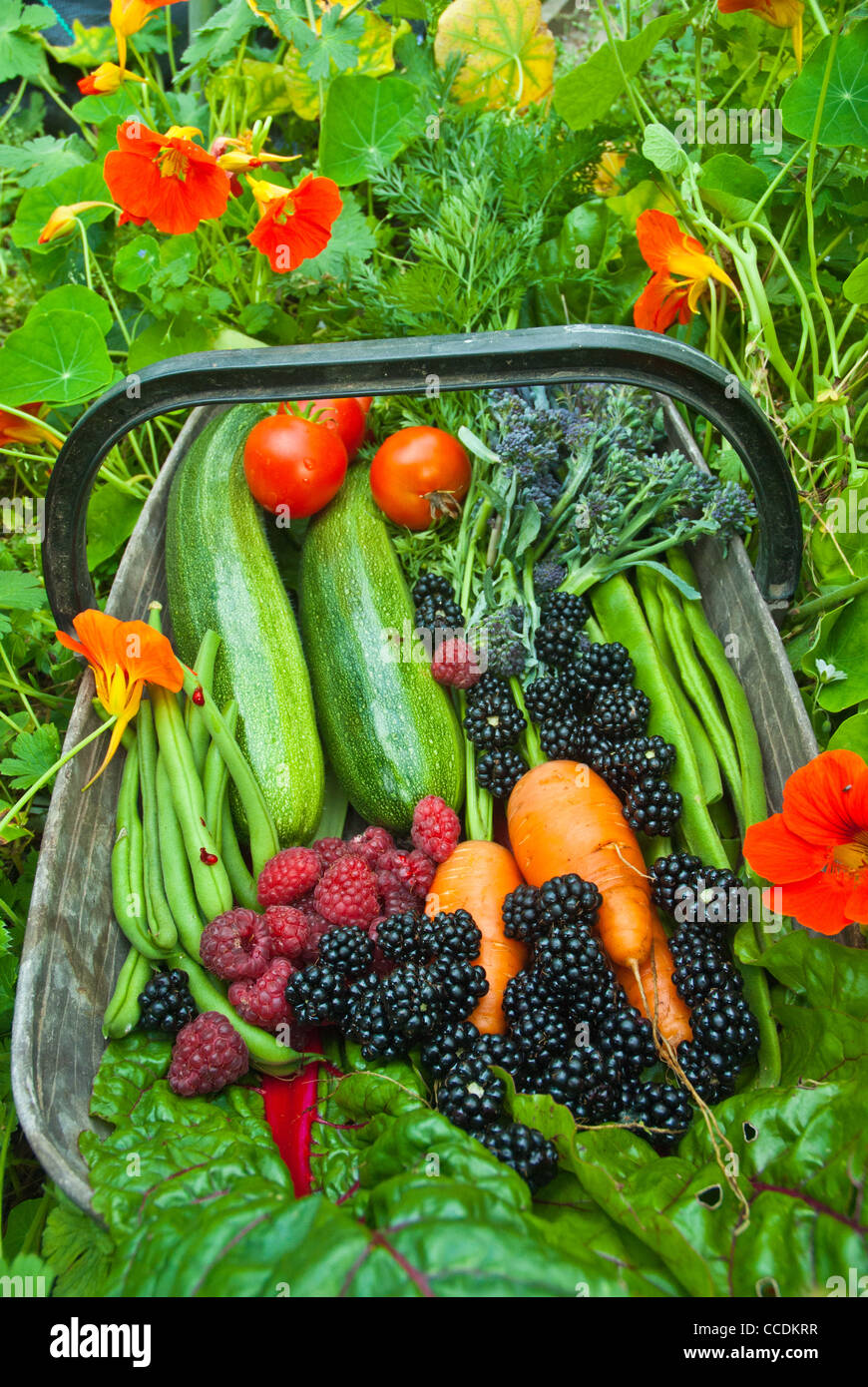 Basket fruit vegetables harvest festival hi-res stock photography and ...