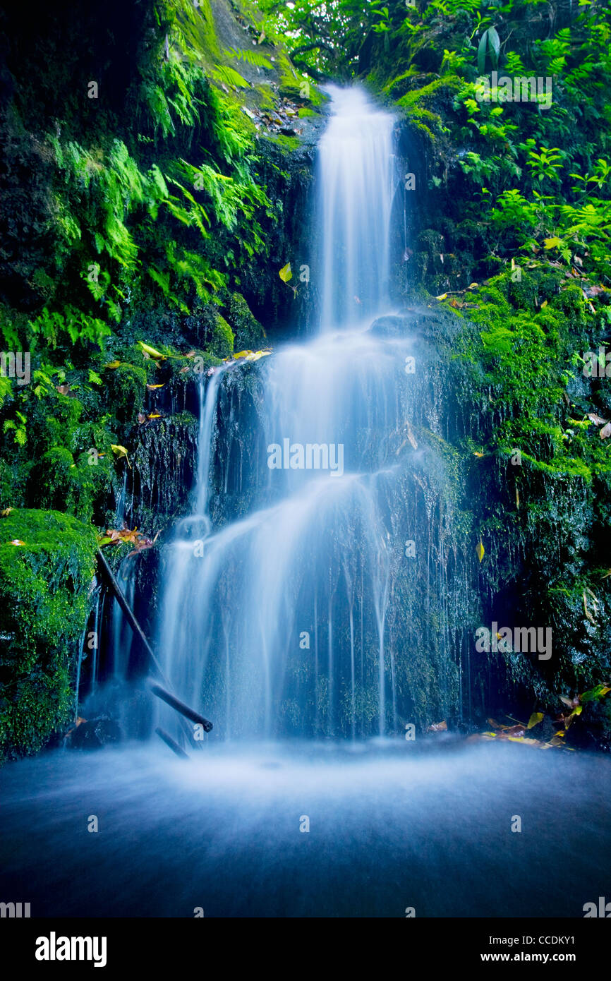 Beautiful Lush Waterfall Stock Photo - Alamy