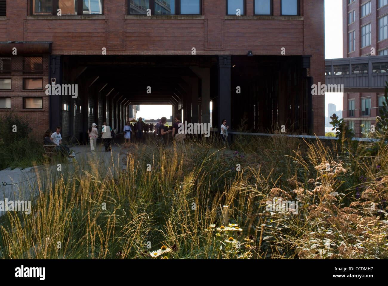 the high line + diller scofidio & renfro Stock Photo - Alamy