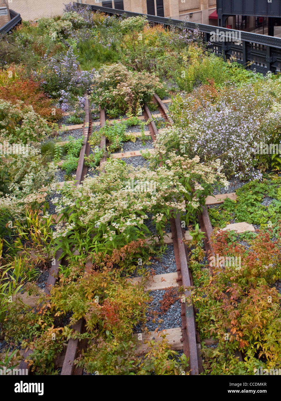 the high line + diller scofidio & renfro Stock Photo - Alamy