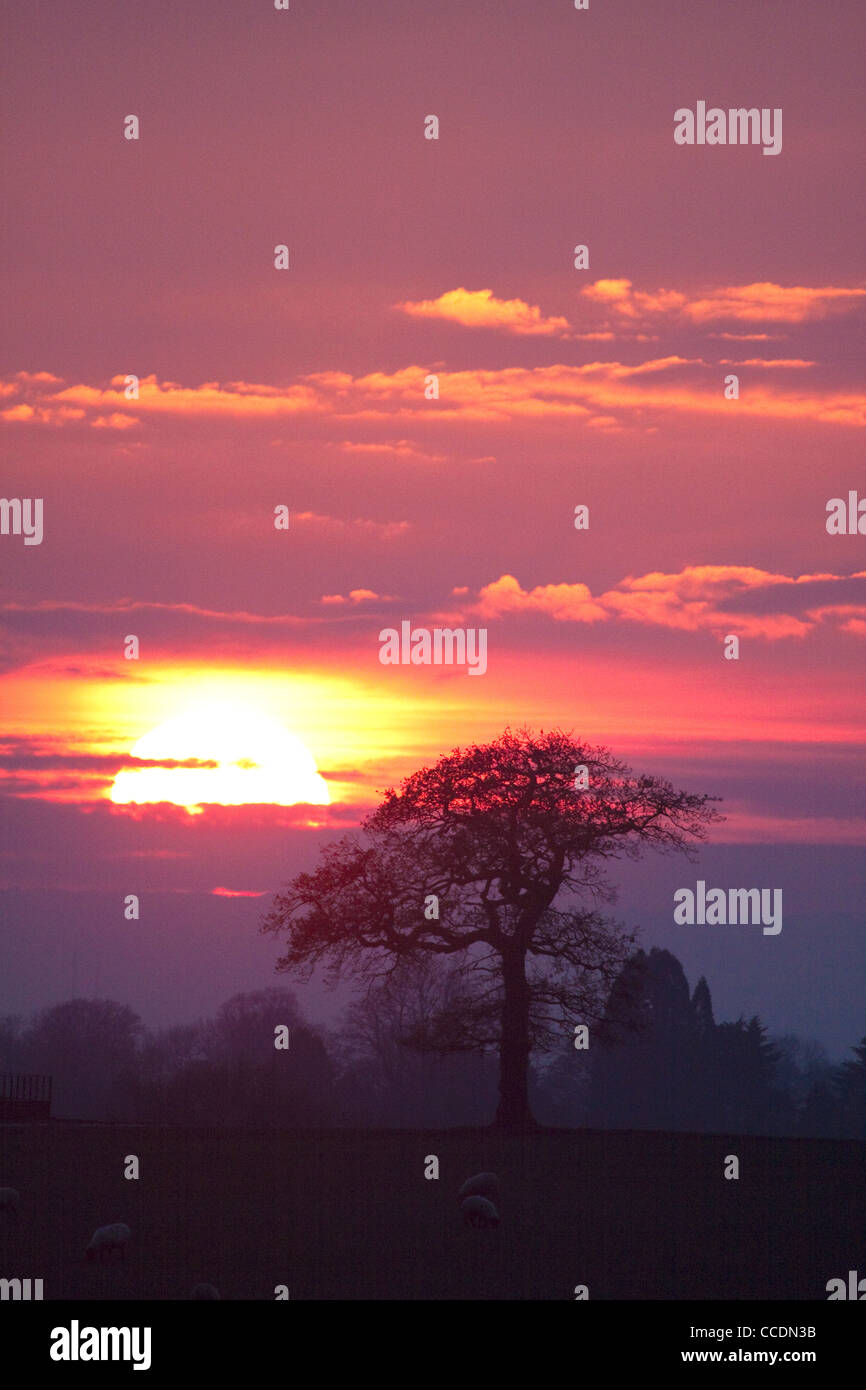 Uk sunsets hi-res stock photography and images - Alamy