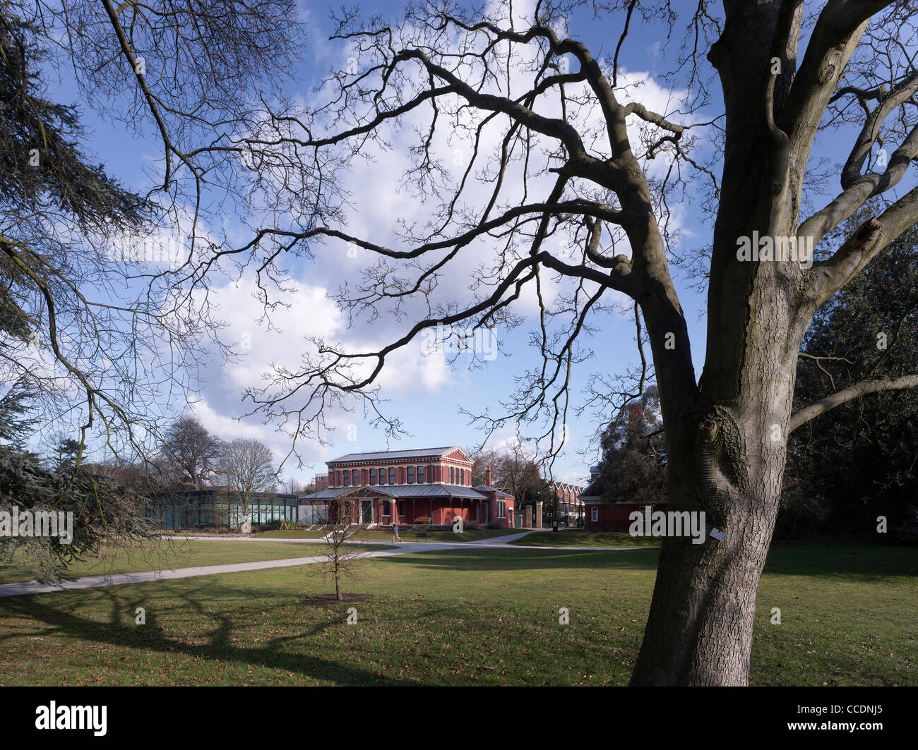SHIRLEY SHERWOOD GALLERY WALTERS AND COHEN ROYAL BOTANIC GARDENS KEW ...