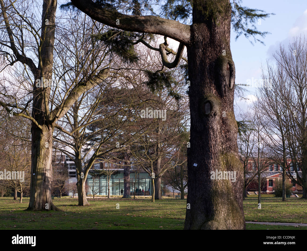 SHIRLEY SHERWOOD GALLERY WALTERS AND COHEN ROYAL BOTANIC GARDENS KEW ...
