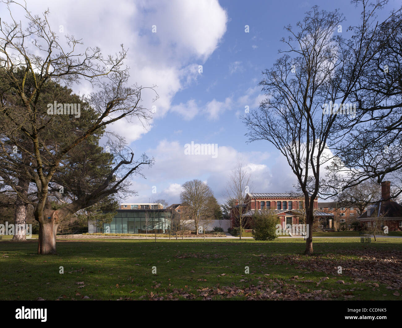 SHIRLEY SHERWOOD GALLERY WALTERS AND COHEN ROYAL BOTANIC GARDENS KEW ...