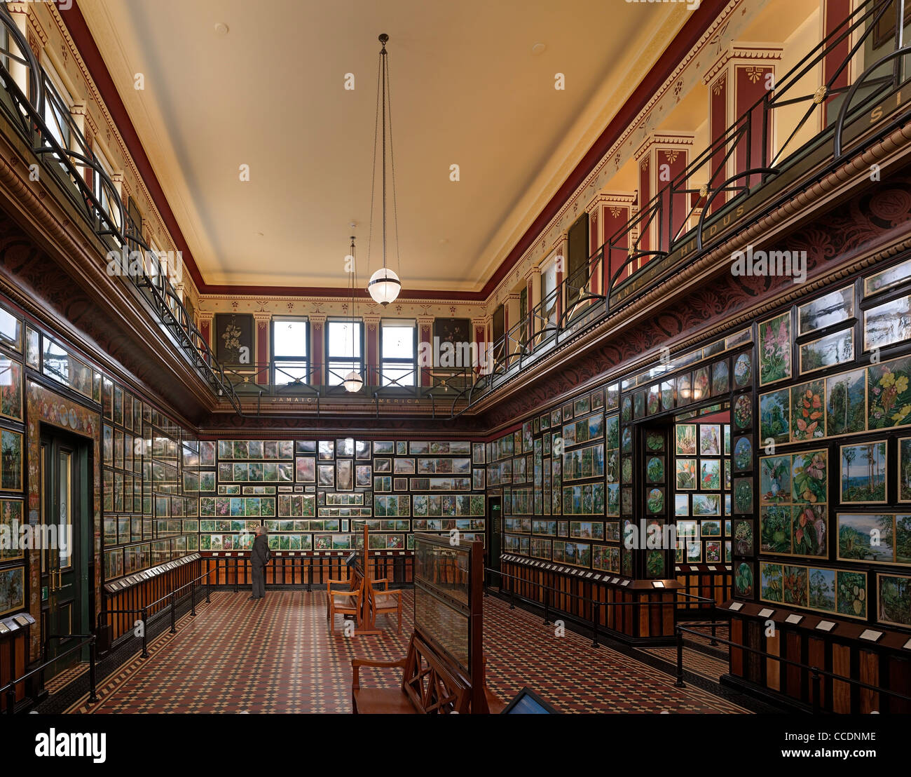 Marianne north hi-res stock photography and images - Alamy