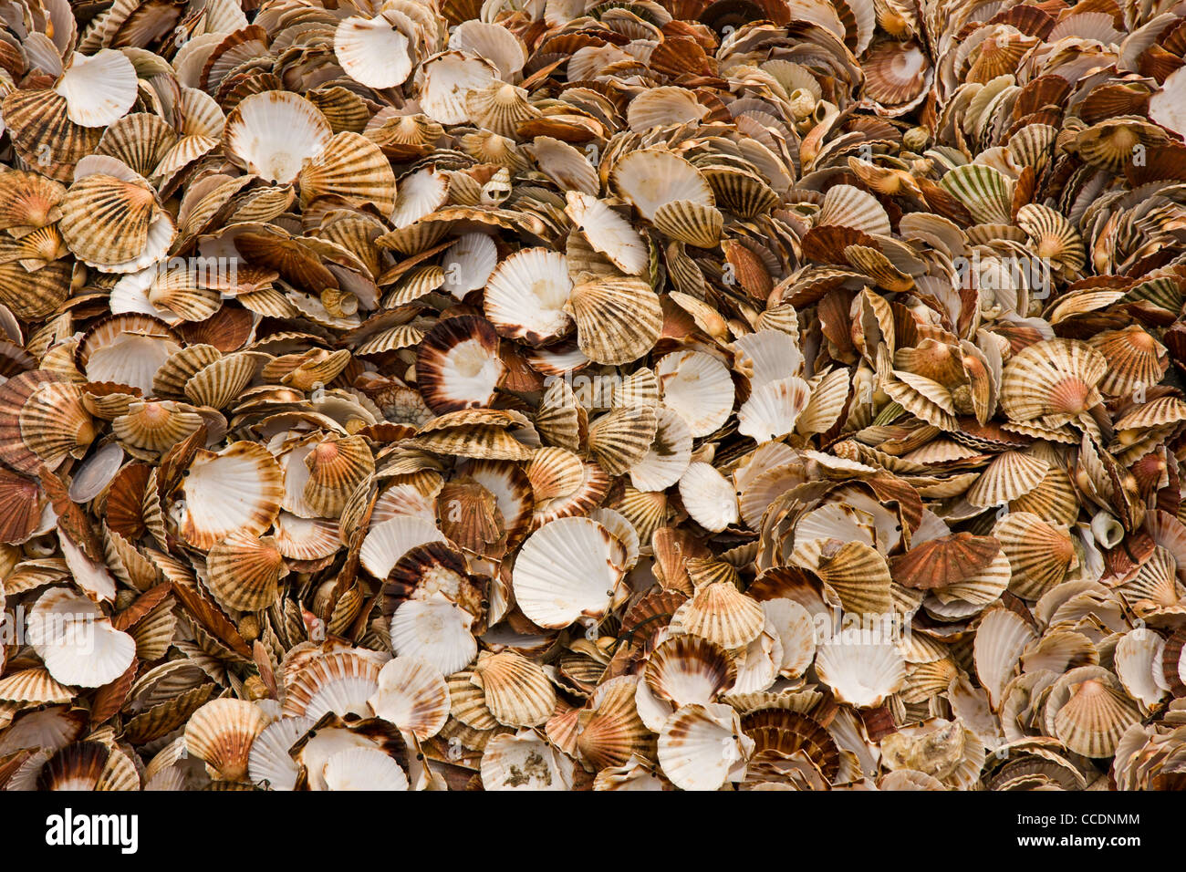 Folkestone details hi-res stock photography and images - Alamy
