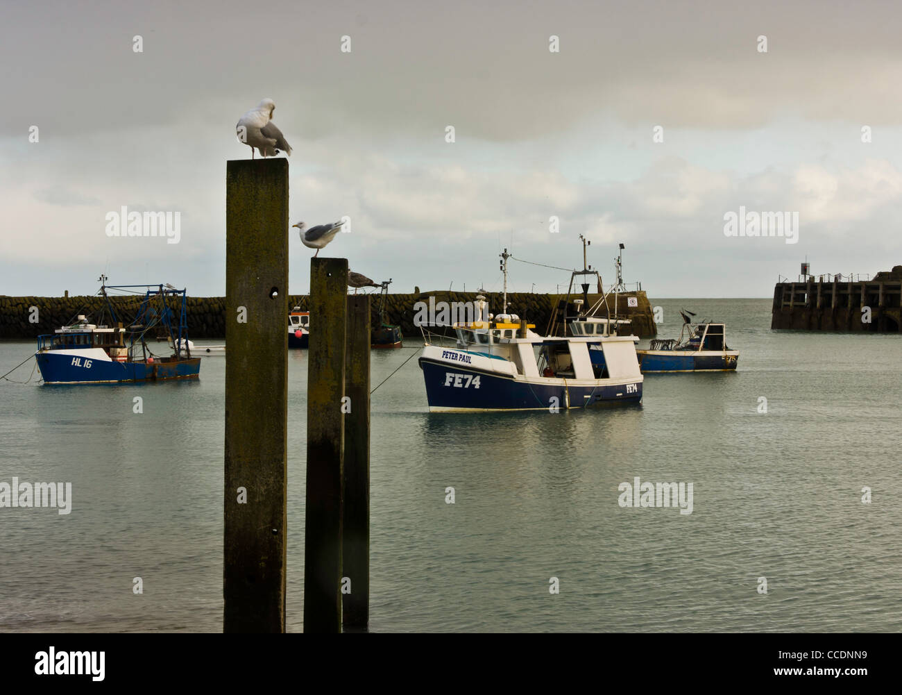 View of Folkestone Harbour Stock Photo - Alamy