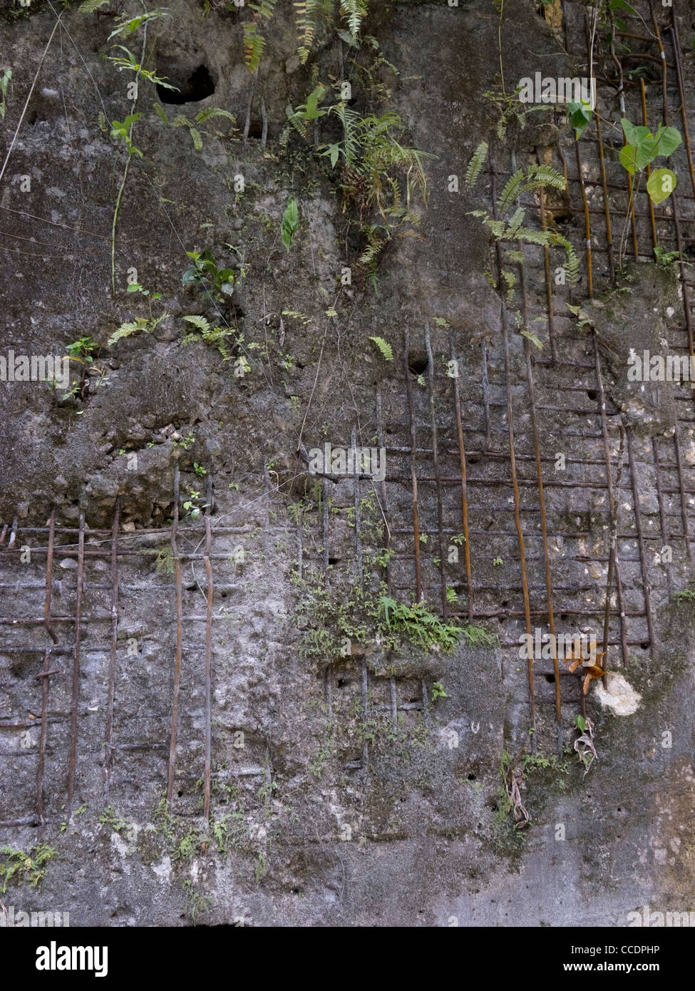 Museum wall, a derelict Japanese command center, on the island of ...
